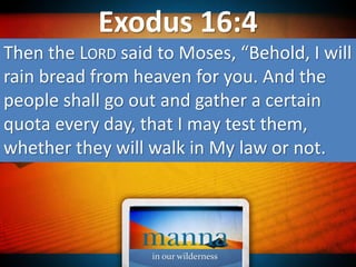 Manna in our wilderness | PPTX