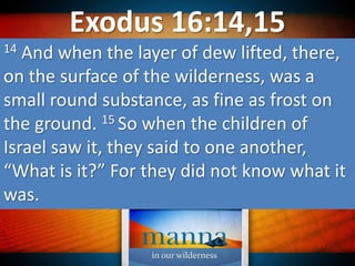 Manna in our wilderness | PPTX