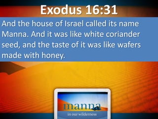 Manna in our wilderness | PPTX