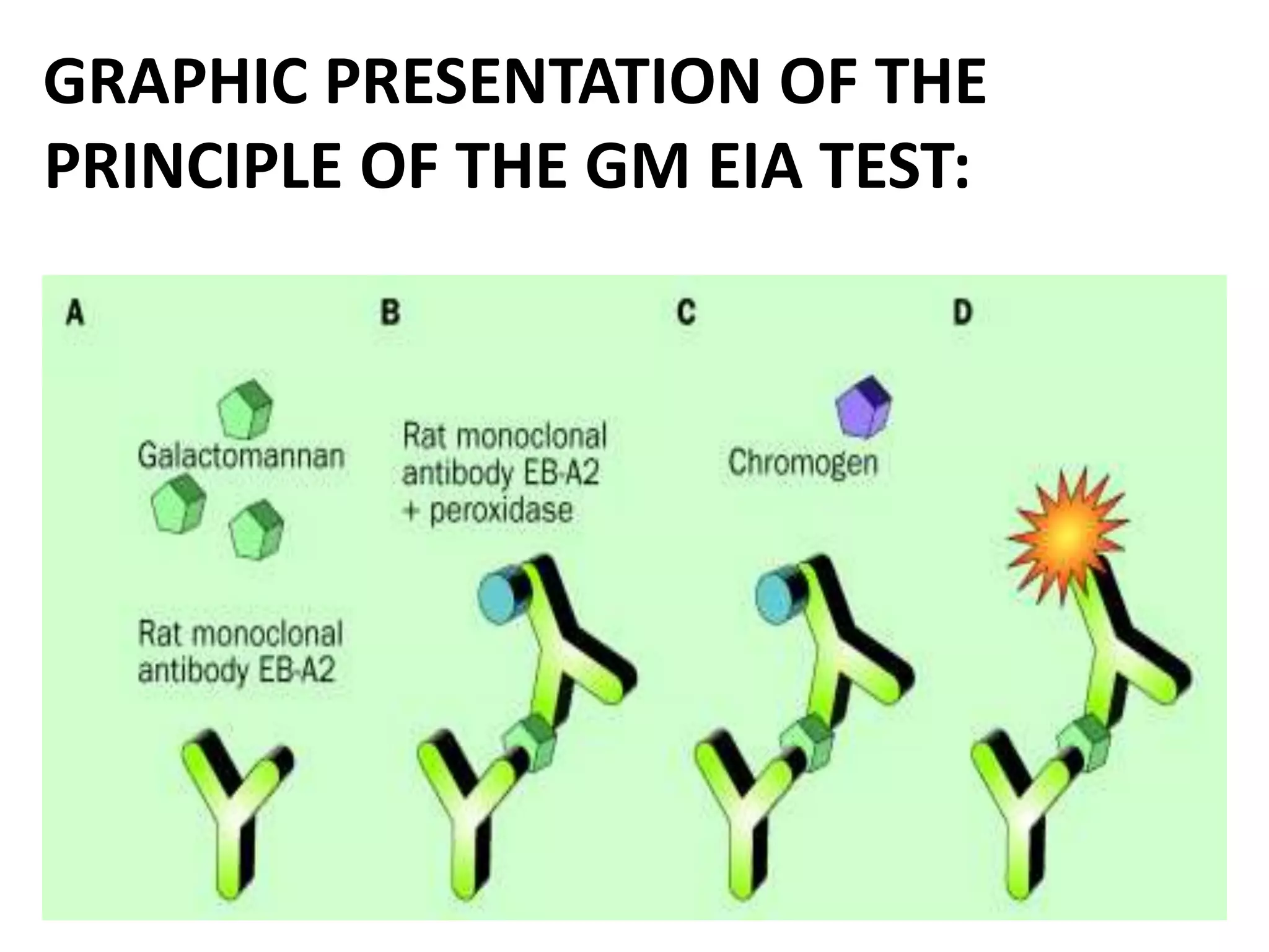 galctomannan detection in aspergillus by deepankar nov. 2018 | PPTX