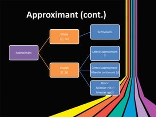 Manner of-articulation-glides | PPTX