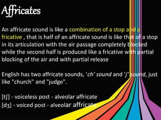 Manner of articulation | PPTX