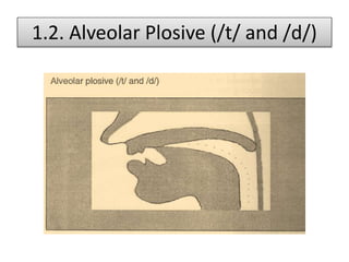 Manner of articulation | PPTX