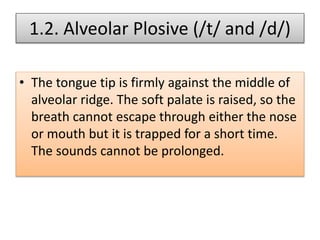 Manner of articulation | PPTX