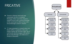 Manner of Articulation | PPTX