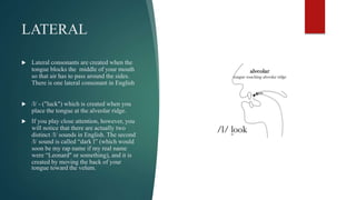 Manner of Articulation | PPTX