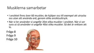 Människokroppen del 2 muskler | PPTX