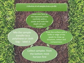 Soil Sampling Techniques and Soil Health Management | PPT