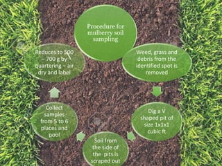 Soil Sampling Techniques and Soil Health Management | PPT