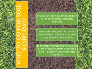 Soil Sampling Techniques and Soil Health Management | PPT