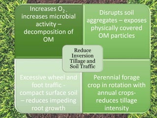 Soil Sampling Techniques and Soil Health Management | PPTX