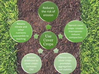 Soil Sampling Techniques and Soil Health Management | PPTX