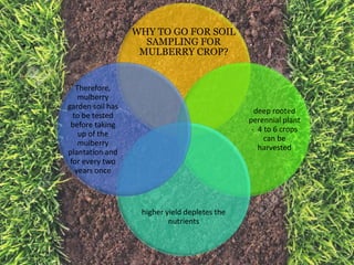 Soil Sampling Techniques and Soil Health Management | PPT