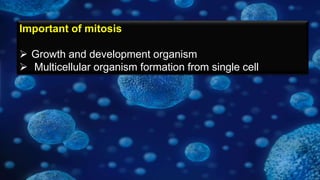 cell division (gpb) department Aman nag.pptx
