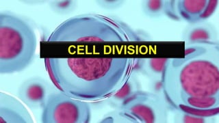 cell division (gpb) department Aman nag.pptx