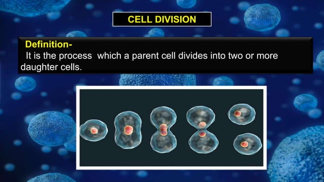 cell division (gpb) department Aman nag.pptx