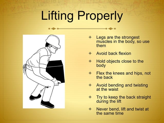 Manual material handling | PPTX | Physical Therapy | Wellness