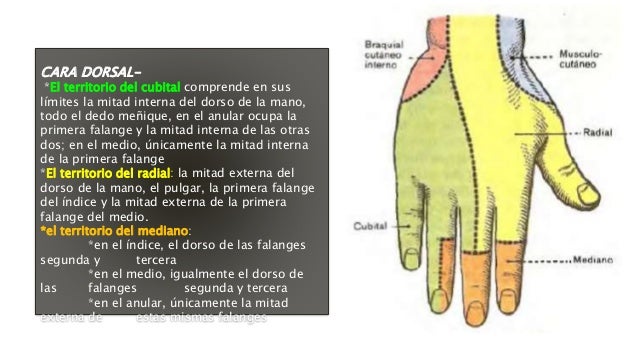 Mano