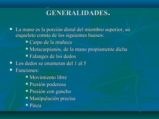 MANO ANATOMIA | PPT