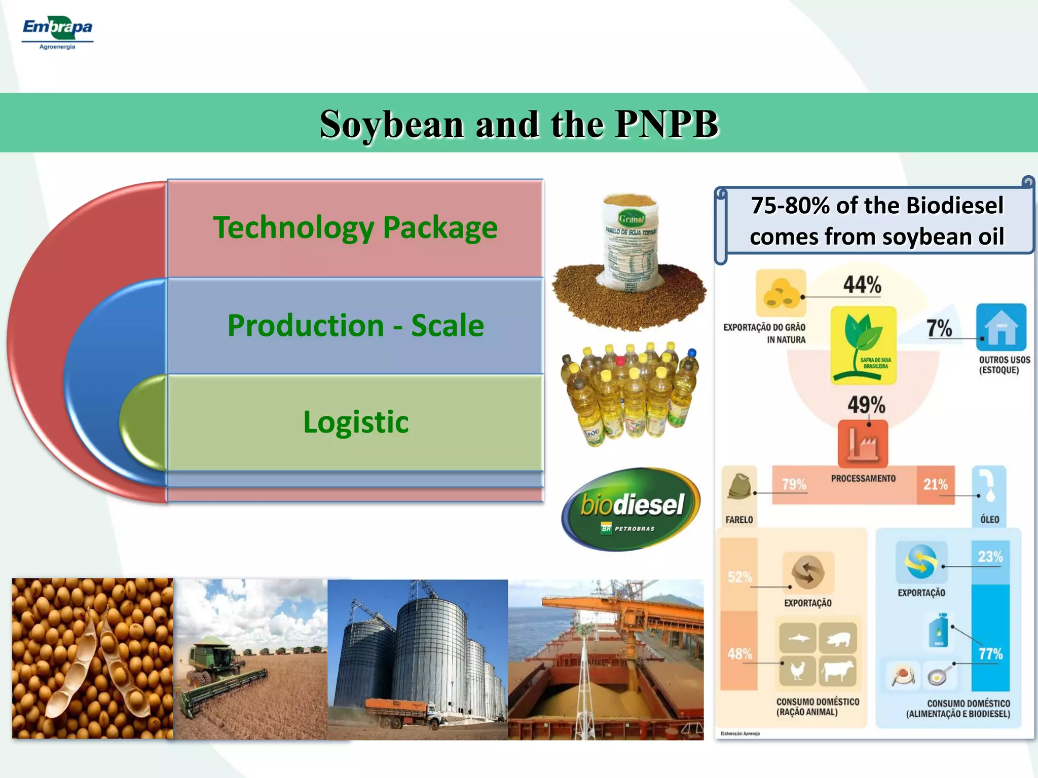 The Brazilian National Plan of Production and Use of Biodiesel - PNPB | PPT