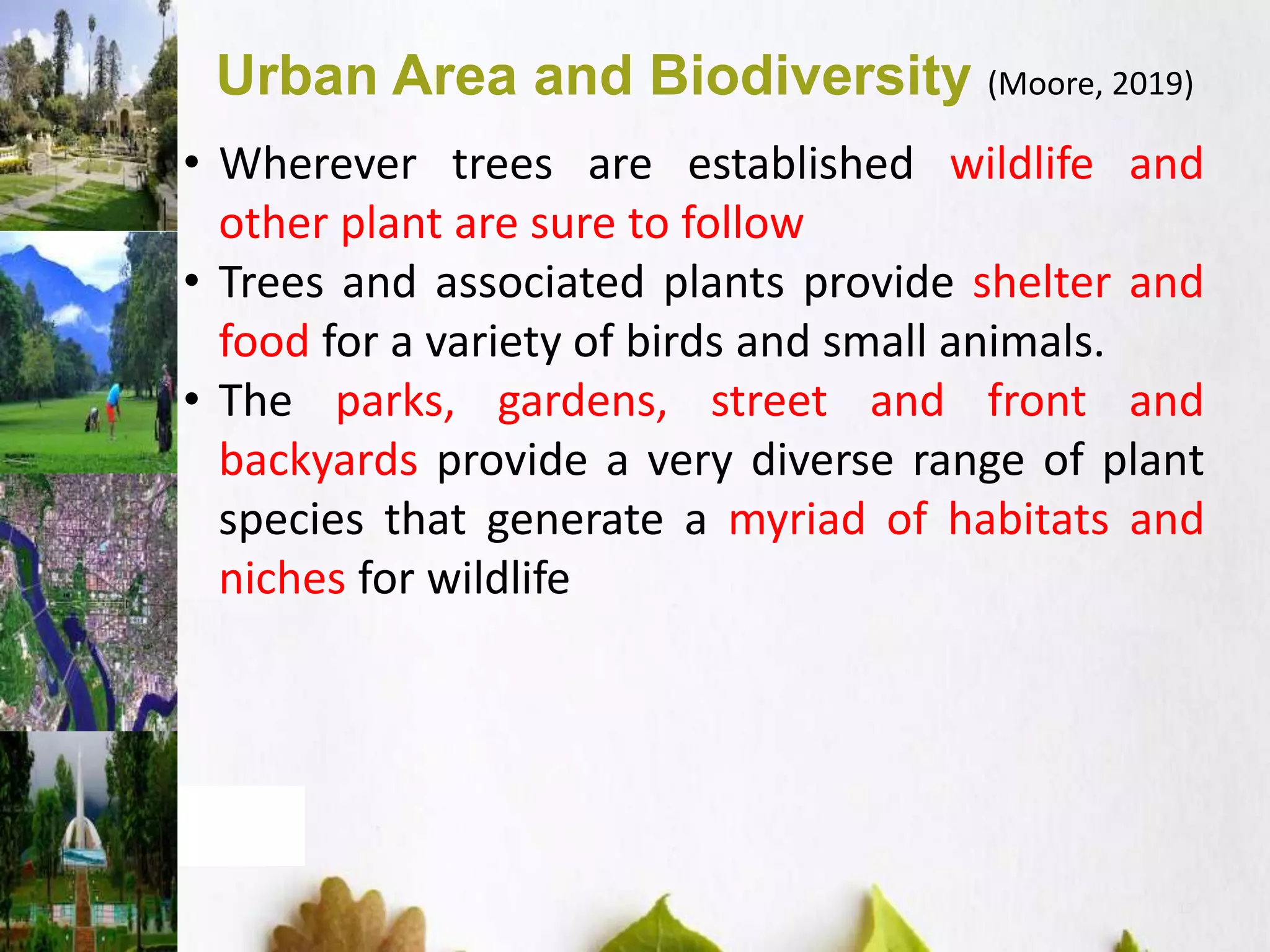 Role of Urban Areas in Biodiversity Conservation | PPTX
