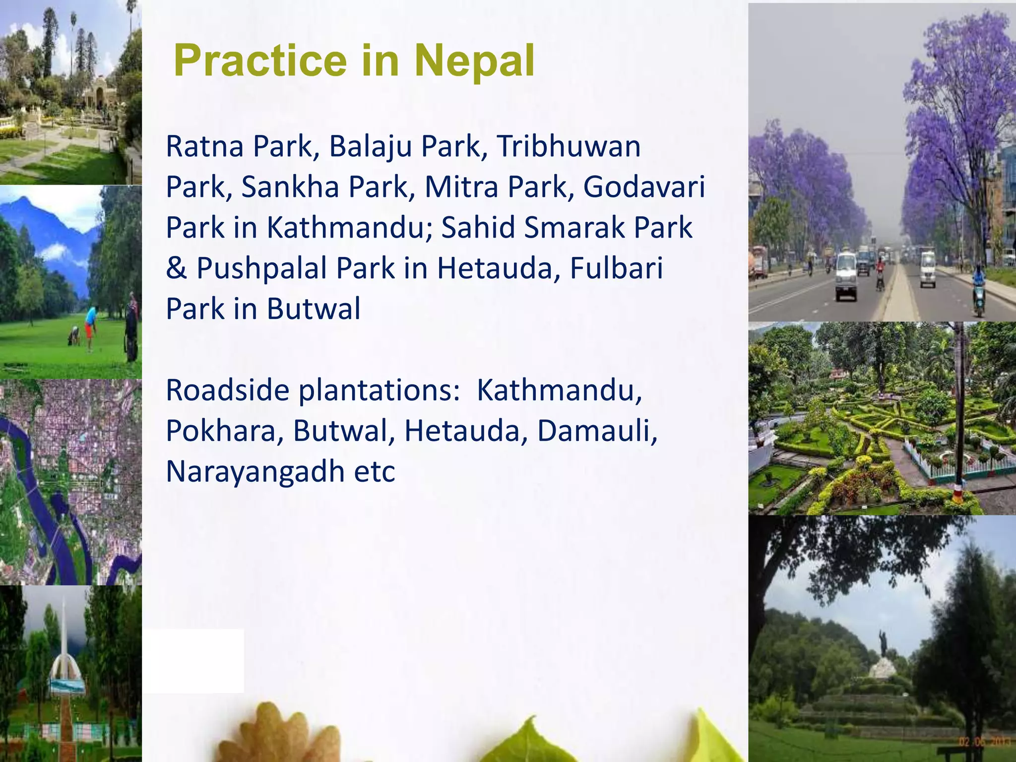 Role of Urban Areas in Biodiversity Conservation | PPTX