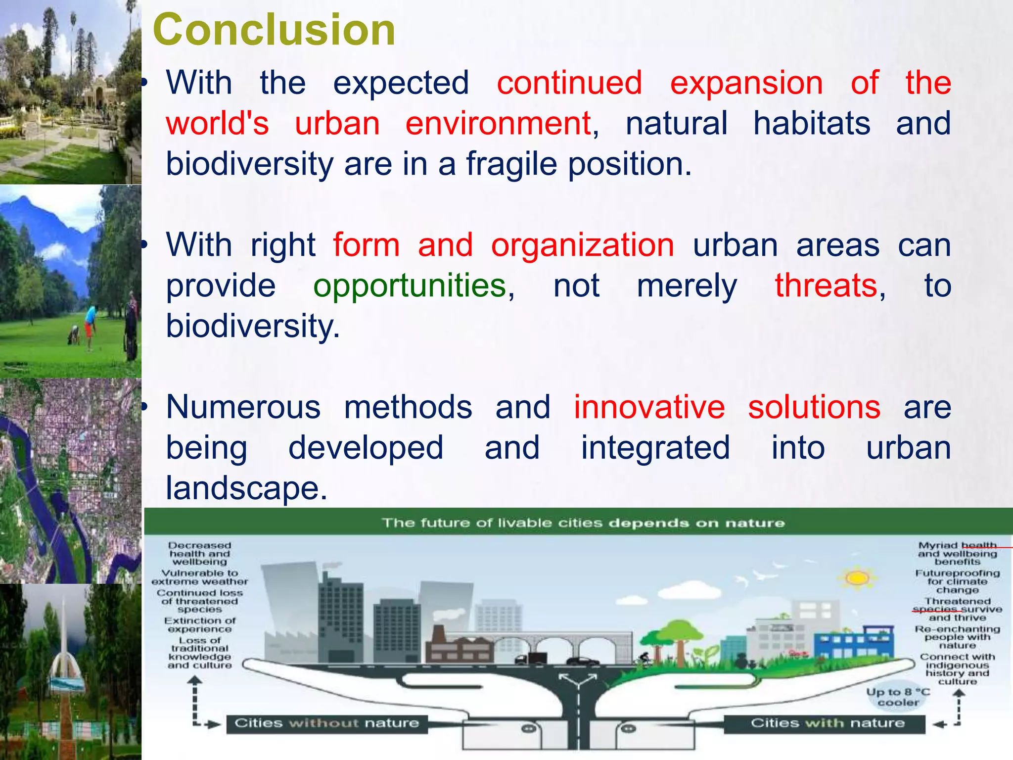 Role of Urban Areas in Biodiversity Conservation | PPTX