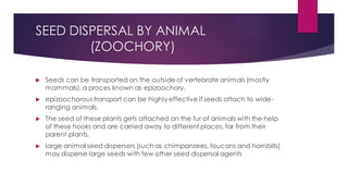 manoj biology project.pdf