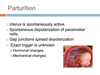 Onset and physiology of labour in gym & obs | PPTX