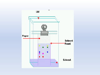Presentation on principle of paper chromatography and Rf Value | PPSX