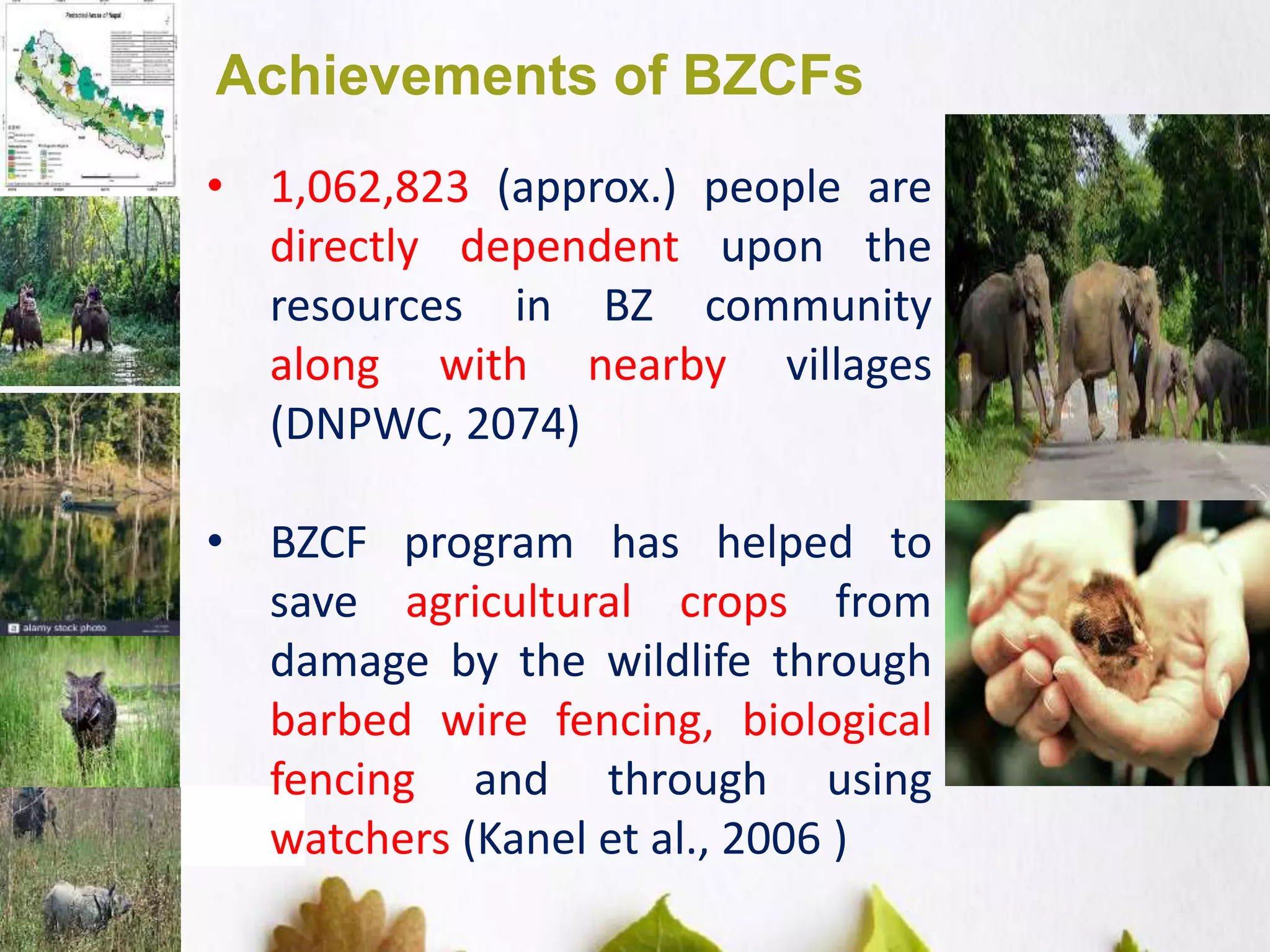 Bufferzone Community Forest | PPTX