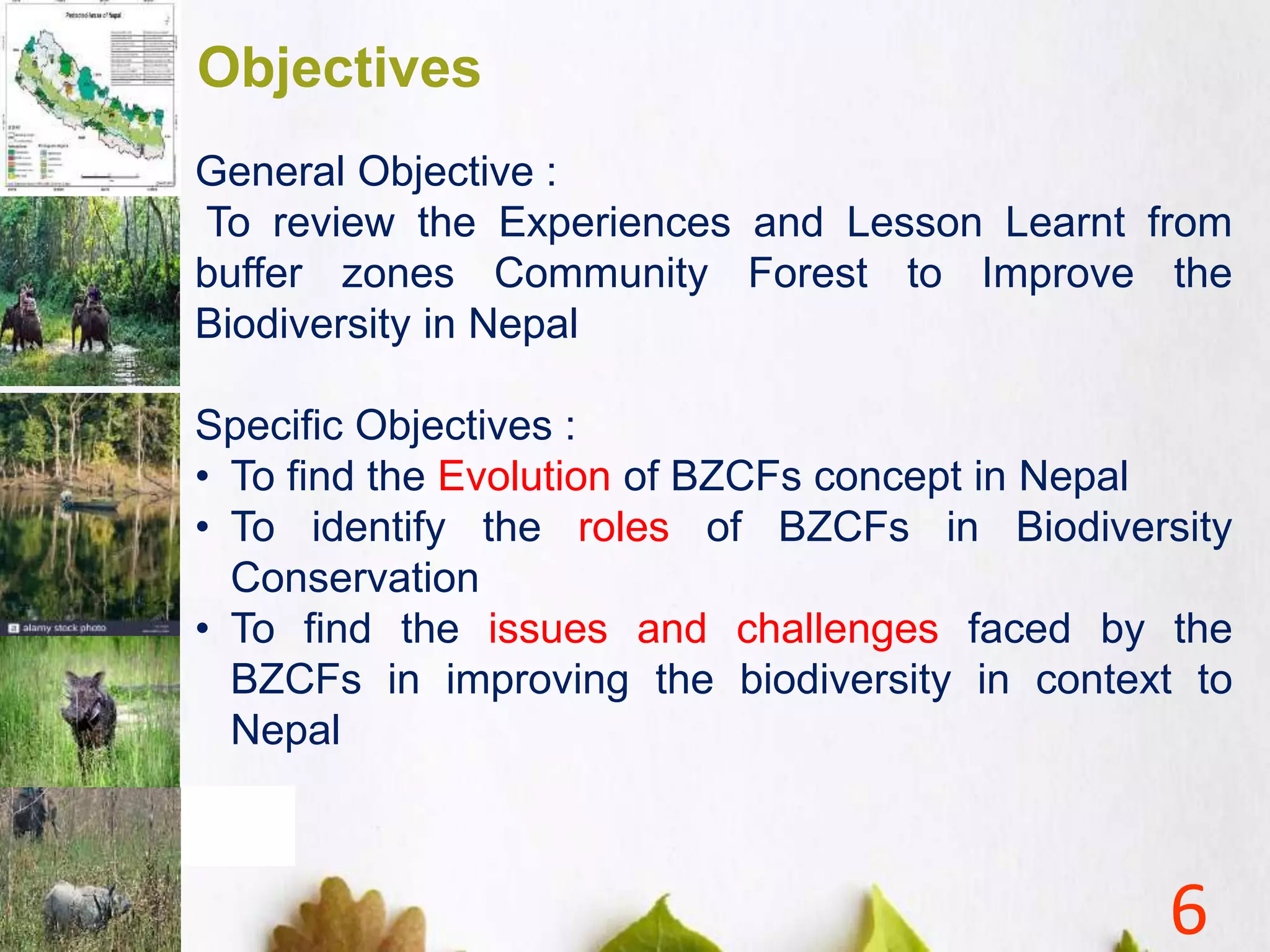 Bufferzone Community Forest | PPTX