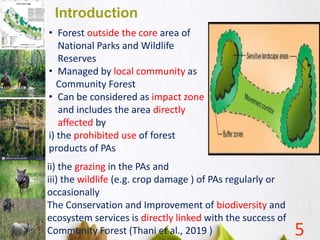 Bufferzone Community Forest | PPTX