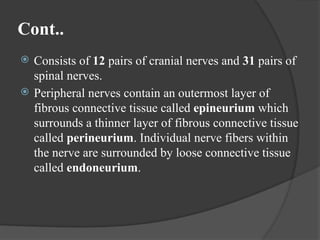 Manoj PPT. (Peripheral Nervous System).pptx
