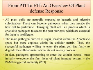 PTI AND ETI | PDF