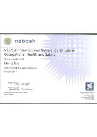 NEBOSH IGC (NEBOSH International General Certificate) | PDF