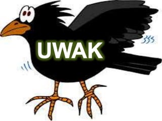 Manok at uwak | PPTX