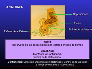 Manometria Anorectal Quito | PPT