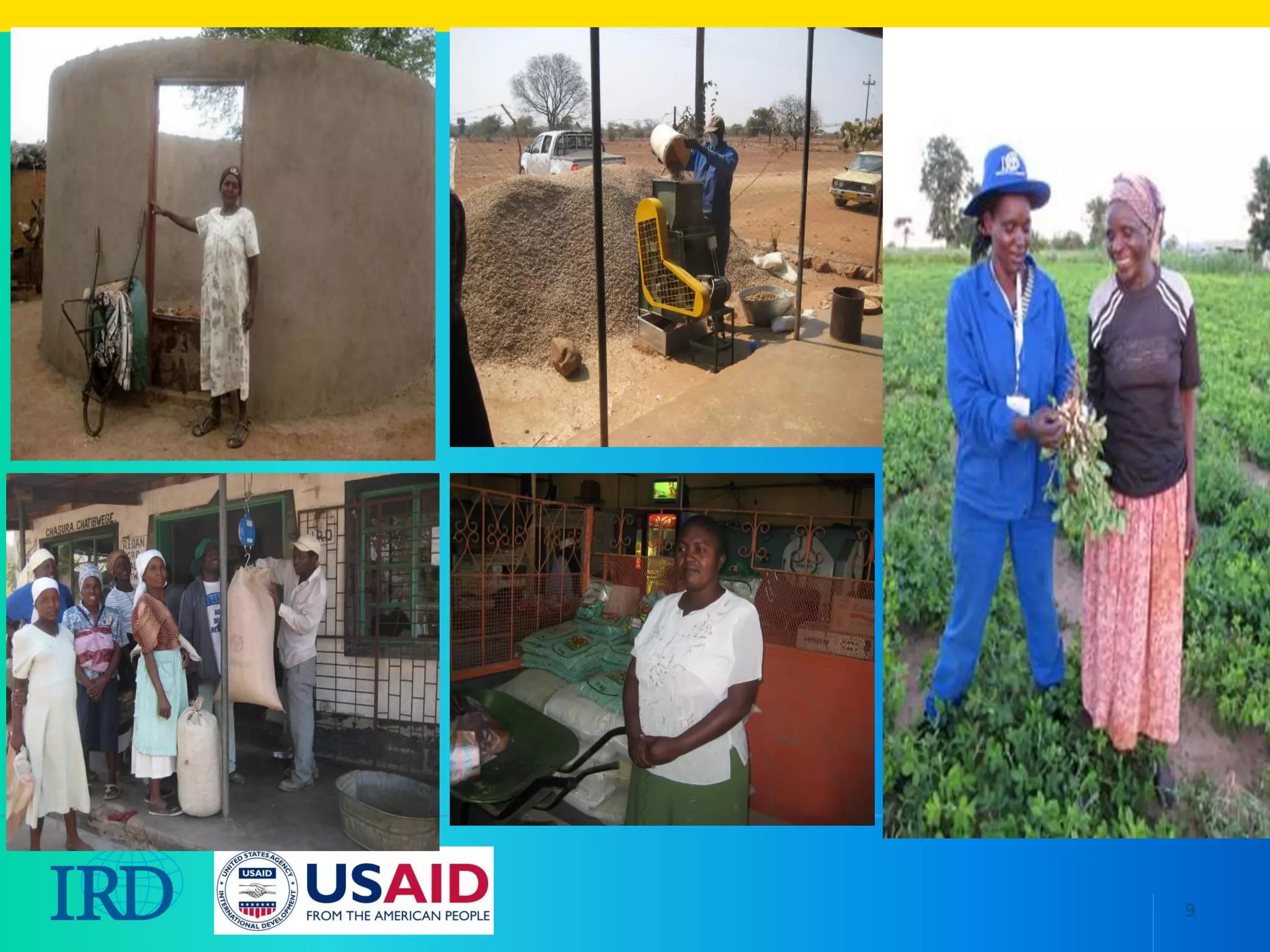 Horticultural Value Chain Development & Financing Strategies for ...
