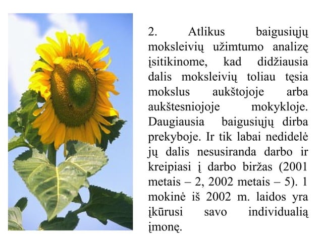 Mano profesija skaidres | PPT