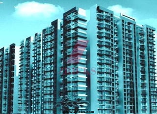 Man Opus Brochure - Zricks.com