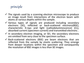 Scanning Electron Microscope (SEM) | PPTX