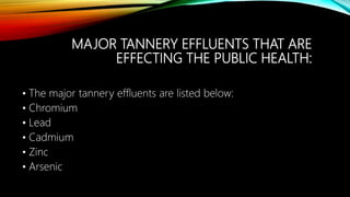Leather tanneries waste and its hazardous , Effects on environment and ...