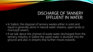 Leather tanneries waste and its hazardous , Effects on environment and ...