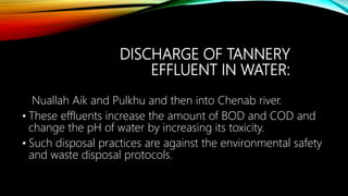 Leather tanneries waste and its hazardous , Effects on environment and ...