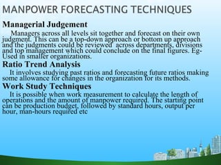 Manpowerplanning steps | PPT