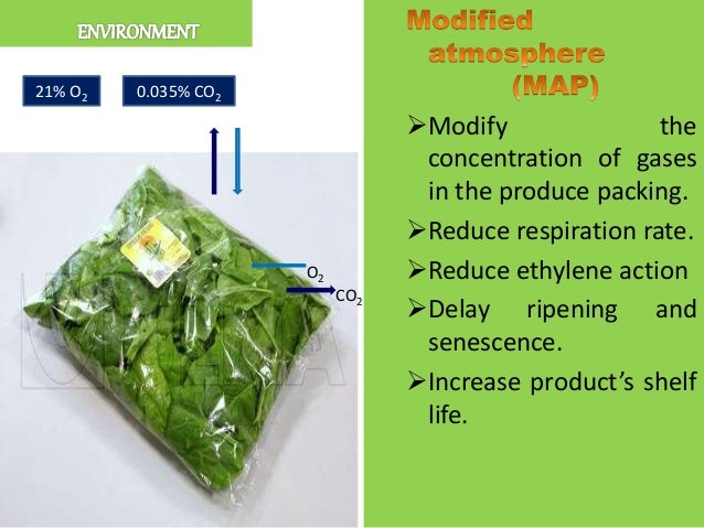 Modified Atmosphere Packaging