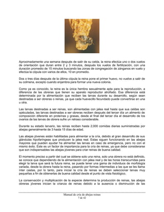 Manual Cría de Reina de Abejas | PDF