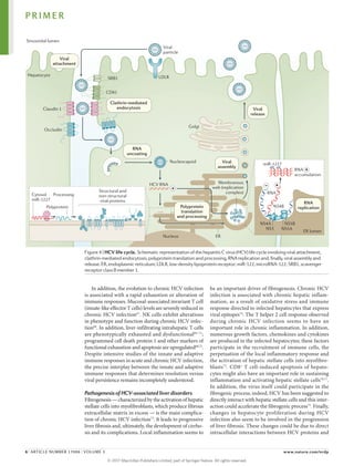 Mans2017-HCVInfection.pdf continuing res | PDF