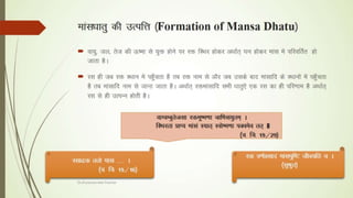 Mansa Dhatu.pptx